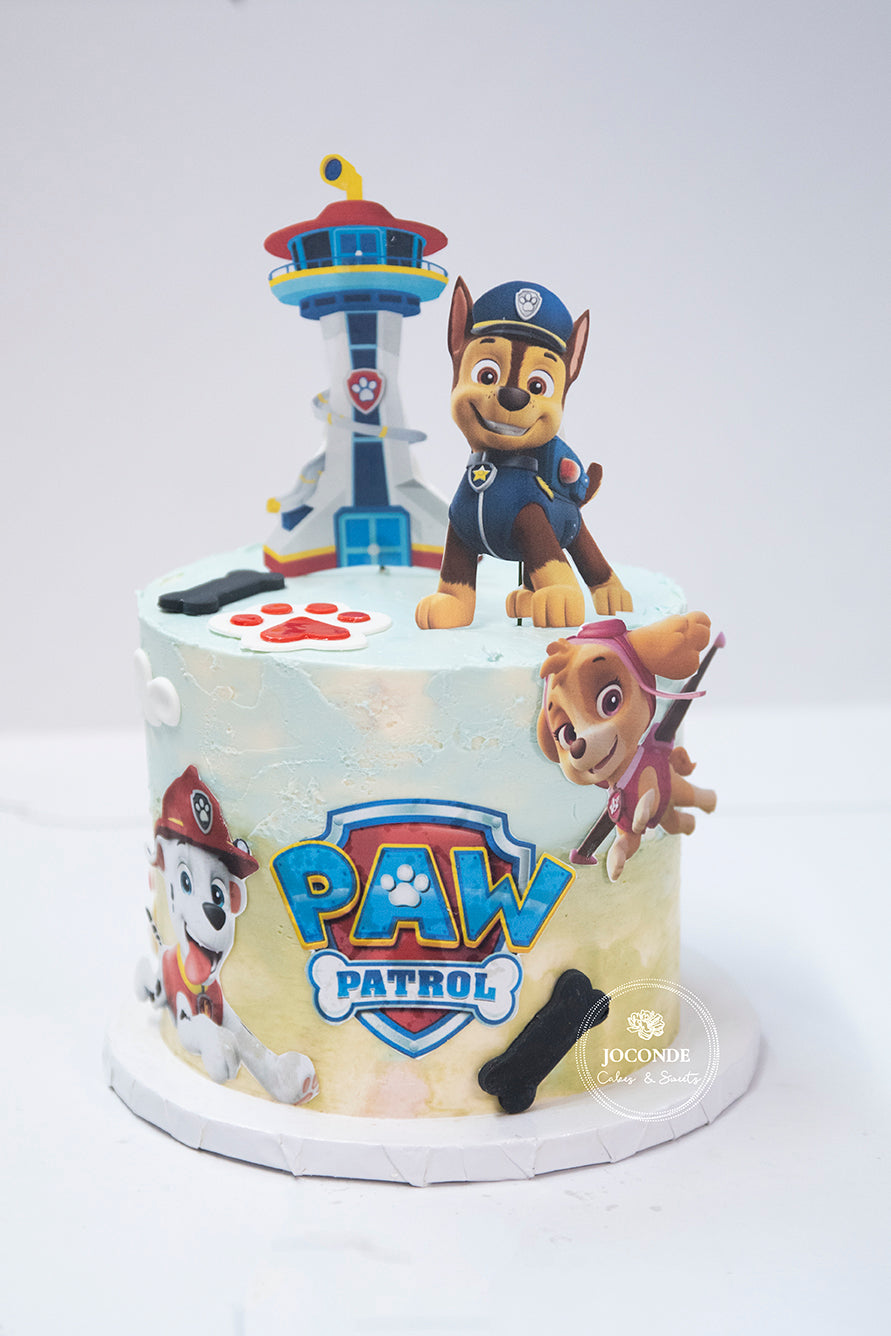 Paw Patrol Bone Birthday Cake 23 Coolest Paw Patrol Cake Ideas For